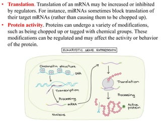 Regulation of gene expression (molecular biology) | PPTX