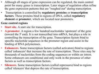 Regulation of gene expression (molecular biology) | PPTX