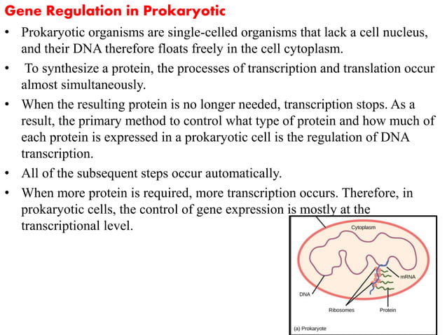 Regulation of gene expression (molecular biology) | PPTX
