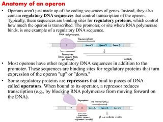 Regulation of gene expression (molecular biology) | PPTX