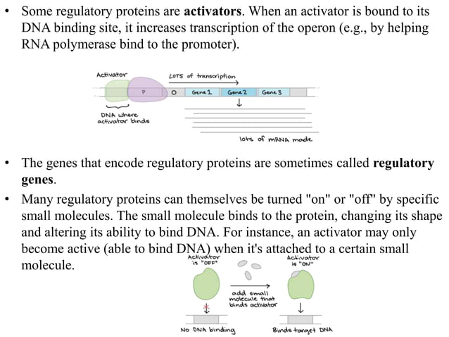 Regulation of gene expression (molecular biology) | PPTX