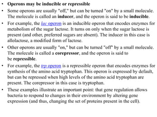 Regulation of gene expression (molecular biology) | PPTX