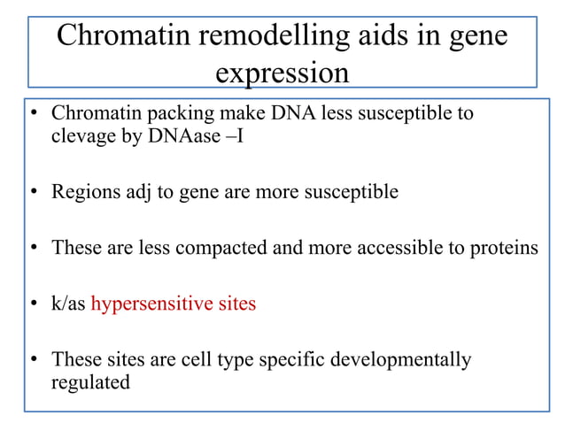 Regulation of gene expression . Law of inheritance | PPTX