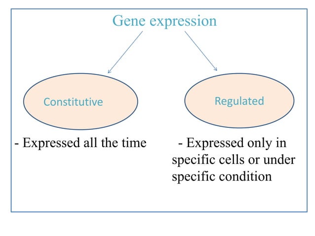 Regulation of gene expression . Law of inheritance | PPTX