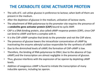 Regulation of gene expression b,pharm | PPTX