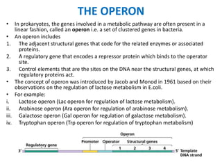 Regulation of gene expression b,pharm | PPTX
