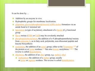 Regulation of gene expression in eukariyotic organisms | PPT