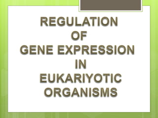 Regulation of gene expression in eukariyotic organisms | PPTX