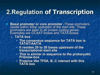 Regulation of gene expression in eukaryotes | PPT