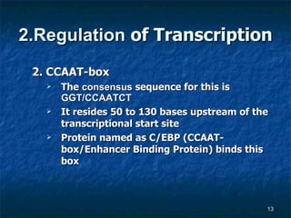 Regulation of gene expression in eukaryotes | PPT
