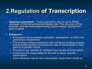 Regulation of gene expression in eukaryotes | PPT