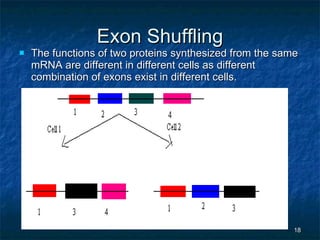 Regulation of gene expression in eukaryotes | PPT