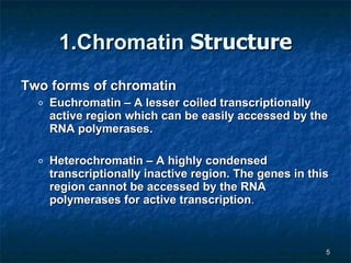 Regulation of gene expression in eukaryotes | PPT