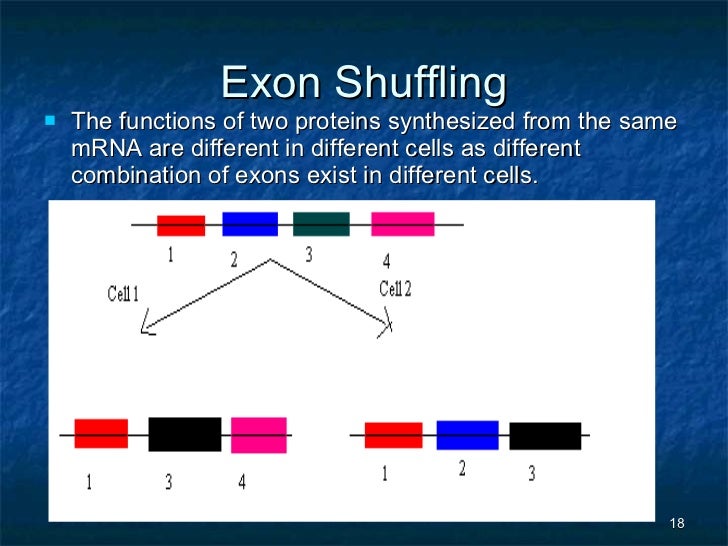 Regulation of gene expression in eukaryotes