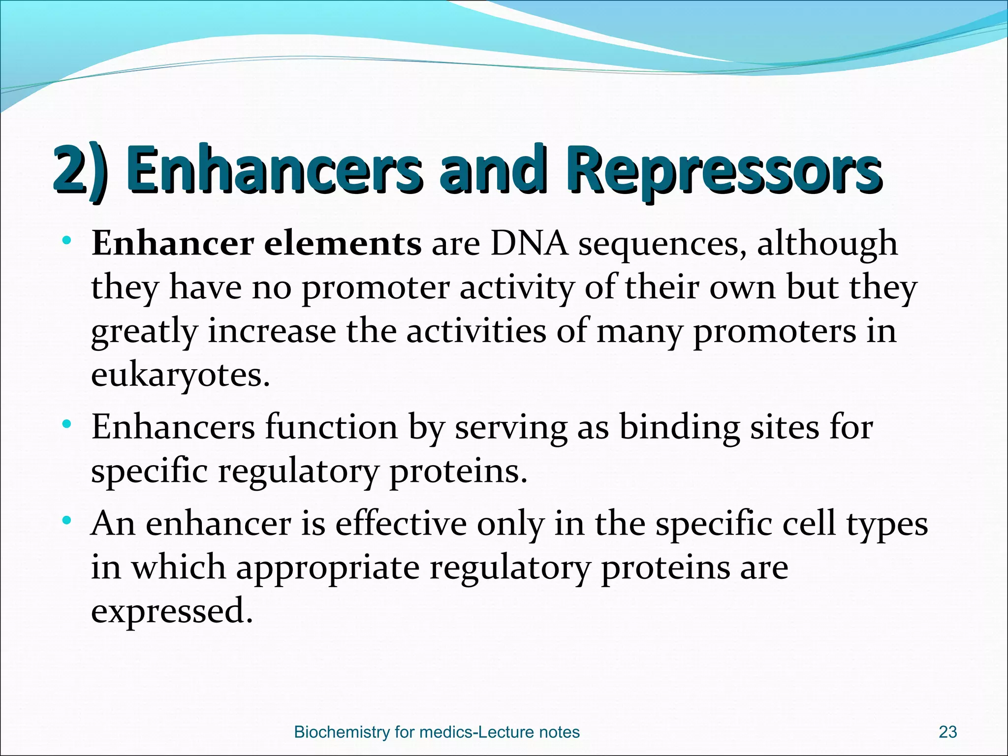 Regulation of gene expression in eukaryotes | PPT