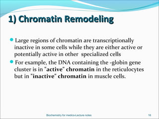 Regulation of gene expression in eukaryotes | PPT