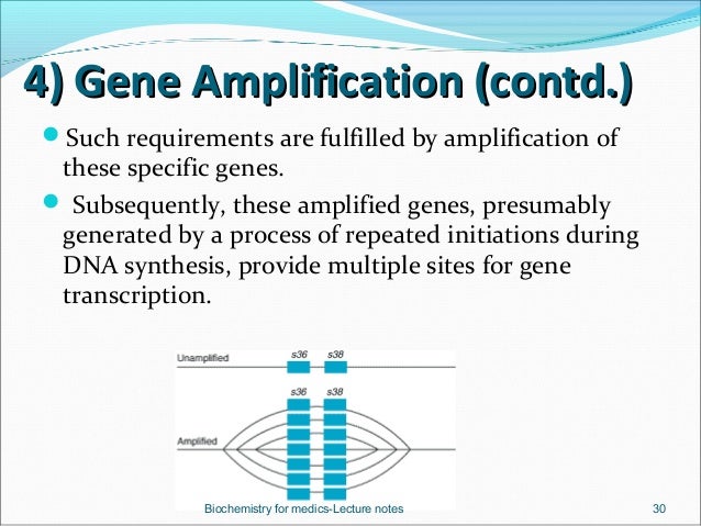 Regulation of gene expression in eukaryotes