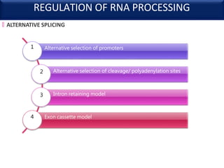 Regulation | PPTX