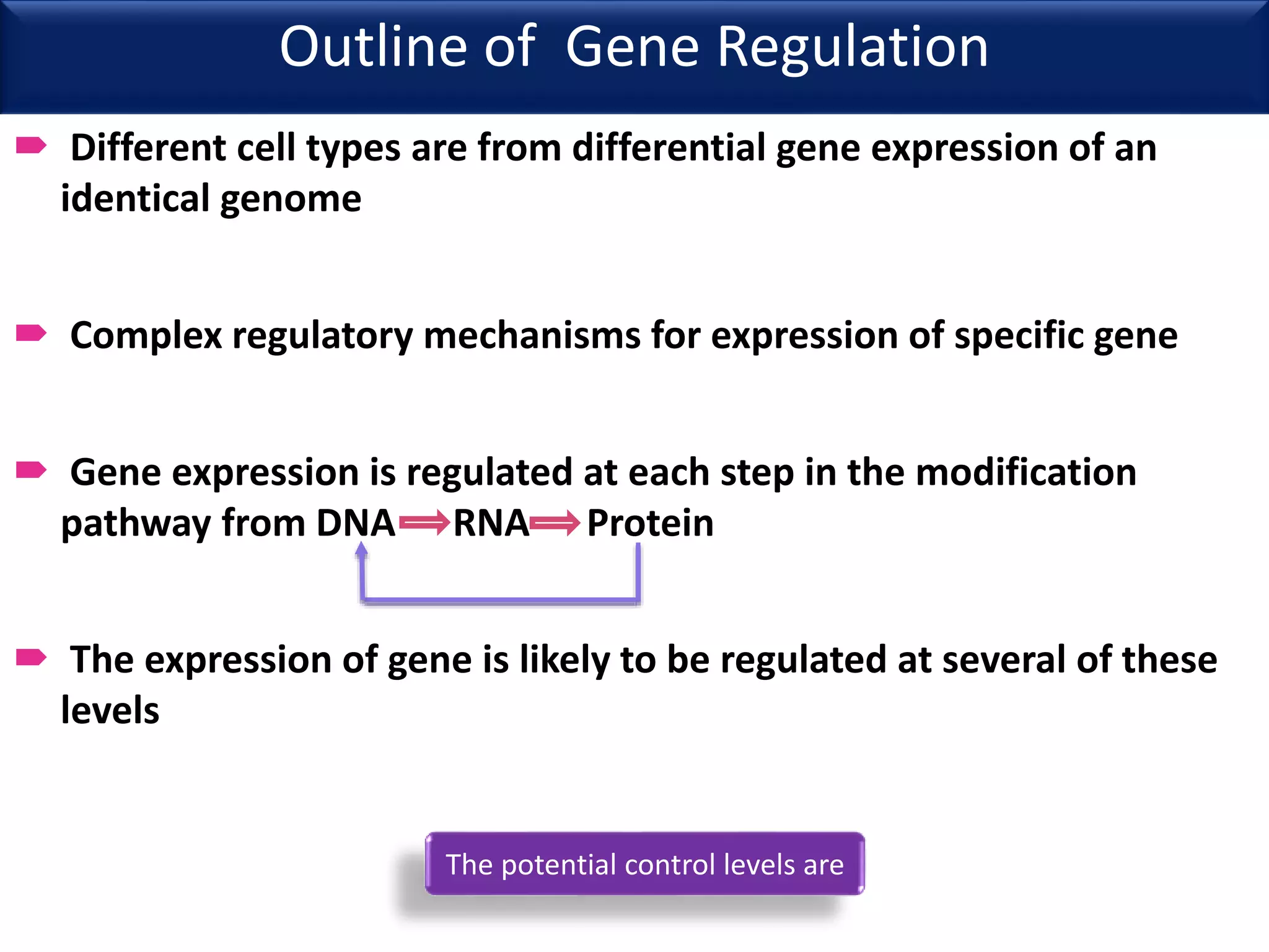 Regulation of gene expression in eukaryotes | PPTX