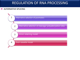 Regulation of gene expression in eukaryotes | PPTX