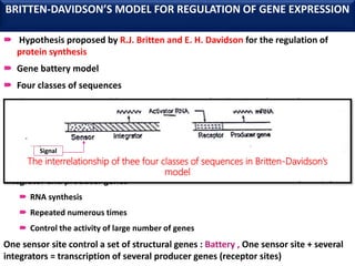 Regulation of gene expression in eukaryotes | PPTX