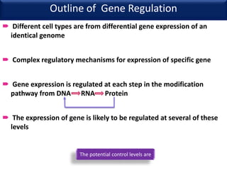 Regulation of gene expression in eukaryotes | PPTX