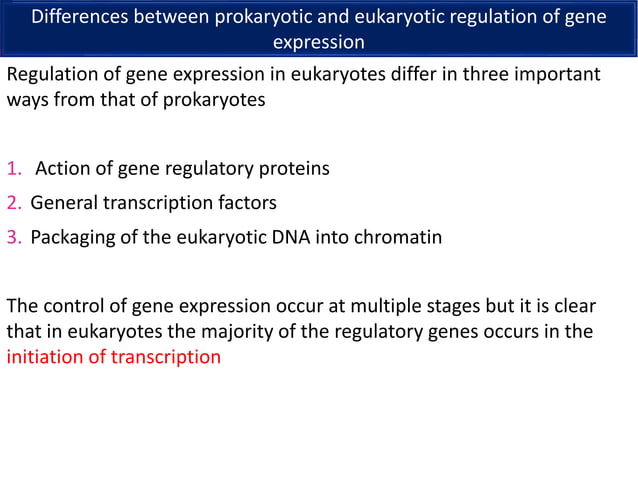 Regulation of gene expression in eukaryotes | PPTX