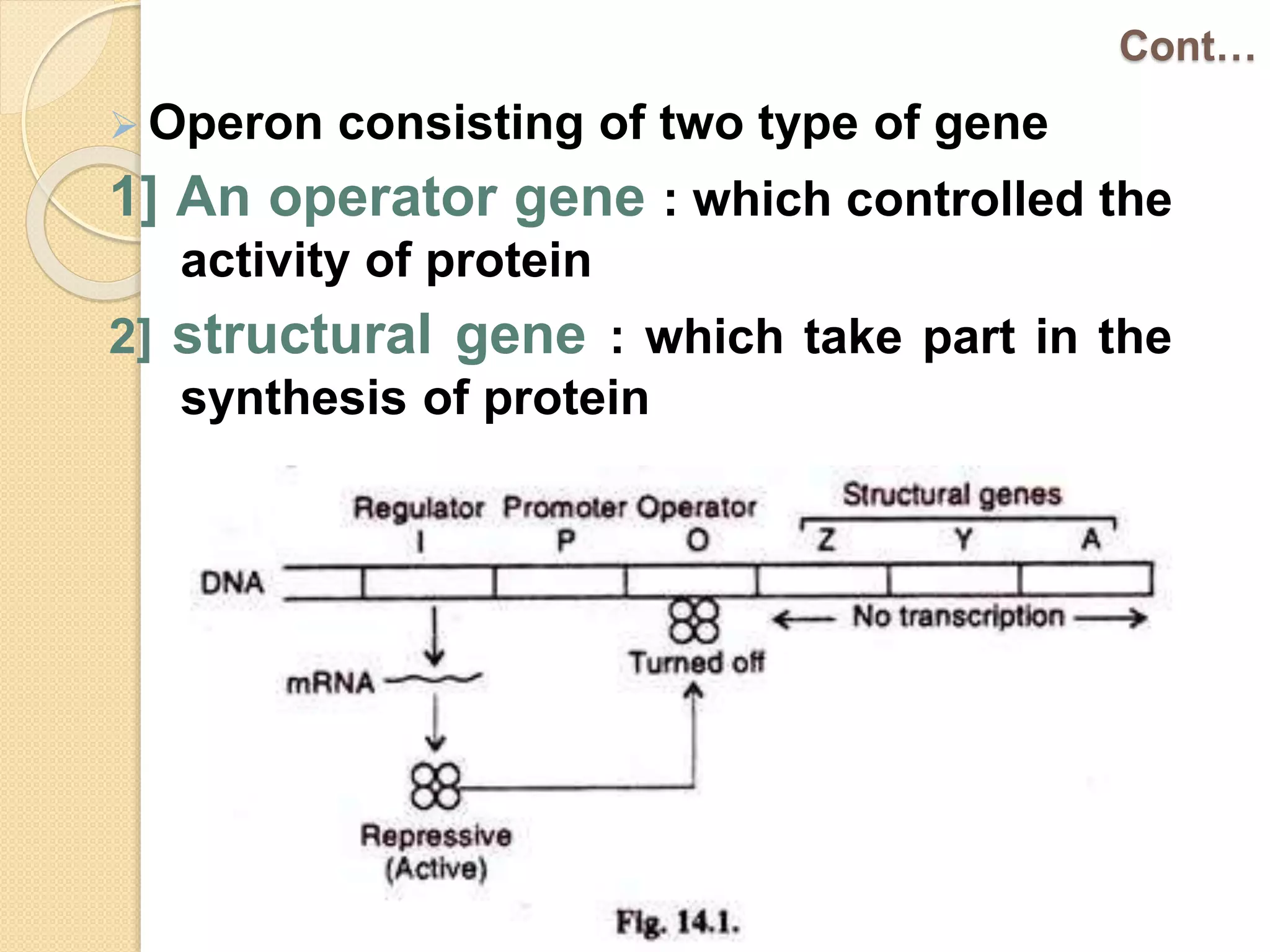 Regulation of gene expression in prokaryotes | PPTX