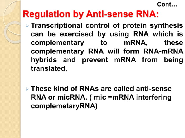 Regulation of gene expression in prokaryotes | PPTX | Chemistry | Science