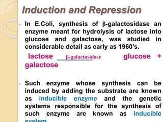 Regulation of gene expression in prokaryotes | PPTX