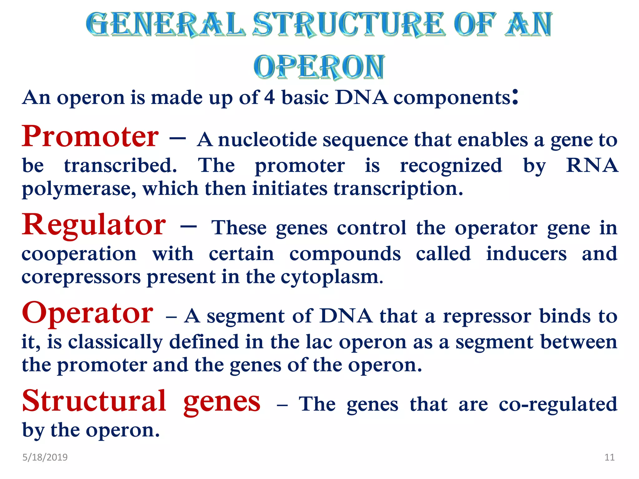 Regulation Of Gene Expression In Prokaryotes Pdf