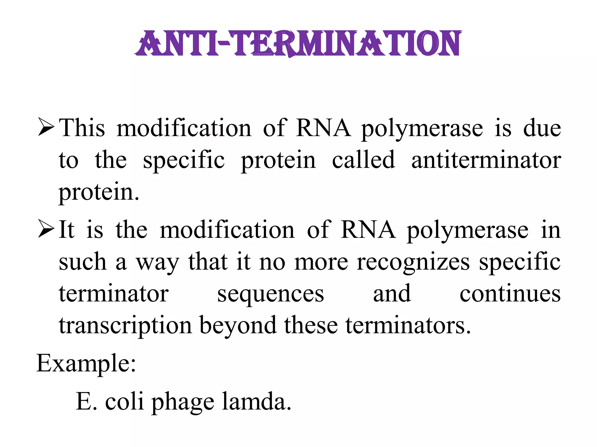 Regulation Of Gene Expression In Prokaryotes Pdf
