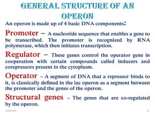 Regulation of gene expression in prokaryotes | PDF