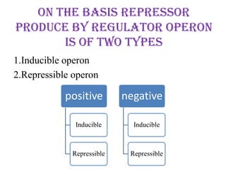 Regulation of gene expression in prokaryotes | PDF