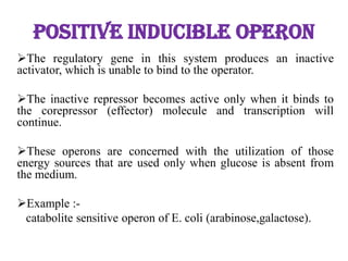 Regulation of gene expression in prokaryotes | PDF
