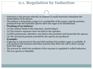 REGULATION OF GENE EXPRESSION IN PROKARYOTES.pptx