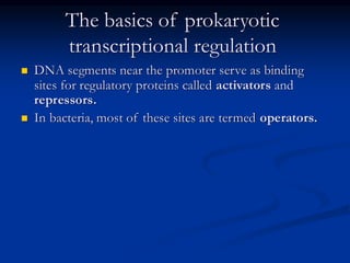 Regulation of gene expression in Prokaryotes (1).pdf
