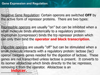 Regulation of gene expression in prokaryotes and viruses | PPT
