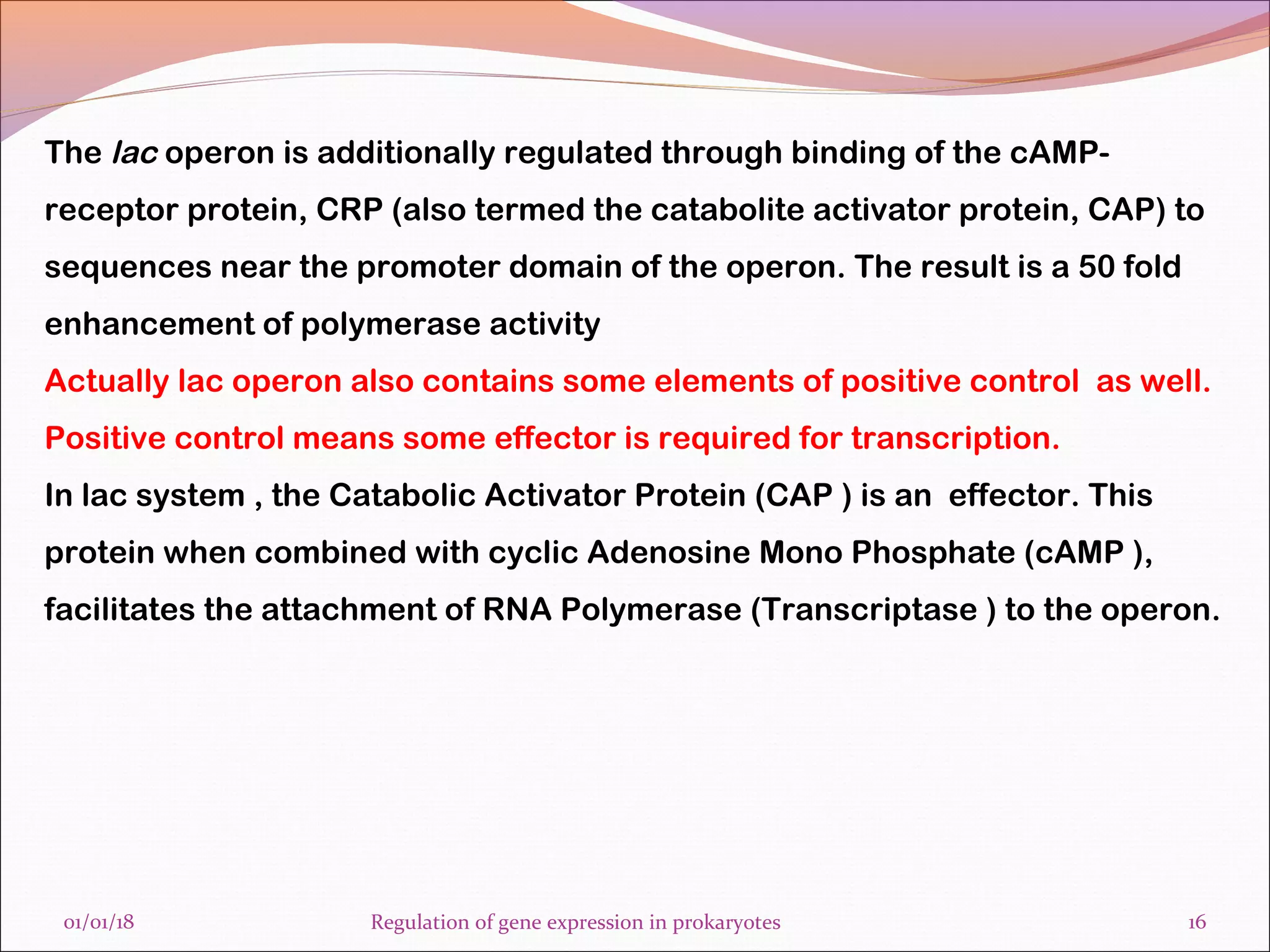 Regulation of gene expression in prokaryotes final | PPT