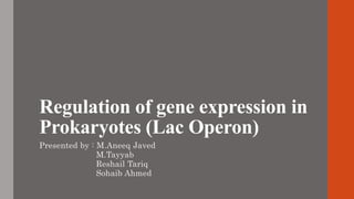 Regulation of gene expression in Prokaryotes (Lac Operon).pptx by ...