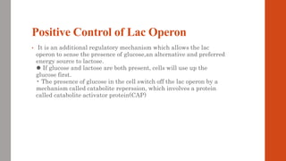 Regulation of gene expression in Prokaryotes (Lac Operon).pptx by ...