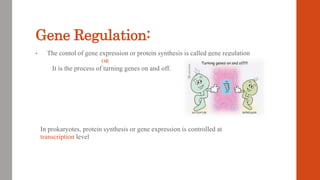 Regulation of gene expression in Prokaryotes (Lac Operon).pptx by ...
