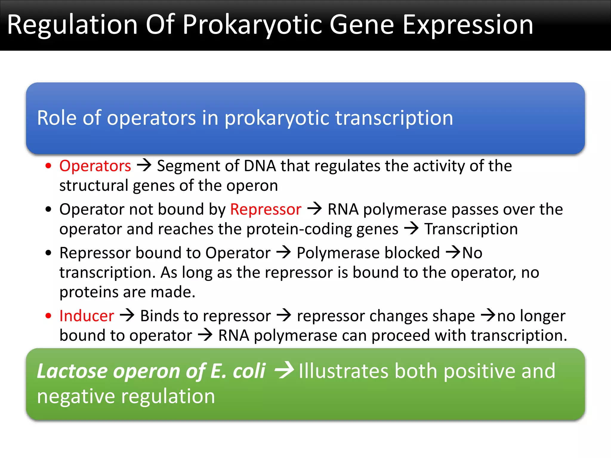 Regulation of Gene Expression | PPTX