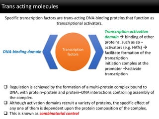 Regulation of Gene Expression | PPTX