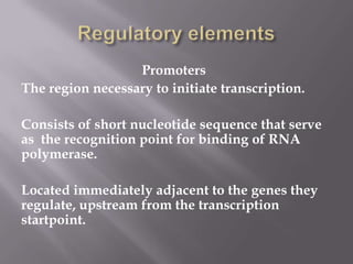 Regulation of Gene Expression ppt | PPTX
