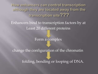Regulation of Gene Expression ppt | PPTX