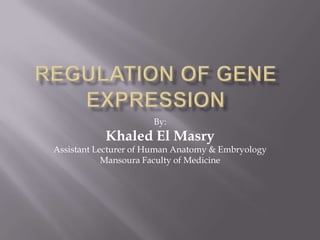 Regulation of Gene Expression ppt | PPTX