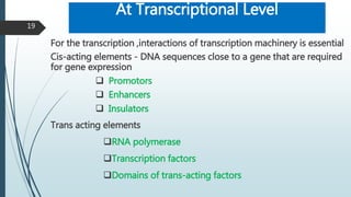 Regulation of gene expression saranya | PPTX