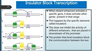 Regulation of gene expression saranya | PPTX