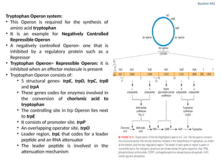 Regulation of gene transcription in prokaryotes and eukaryotes.pptx